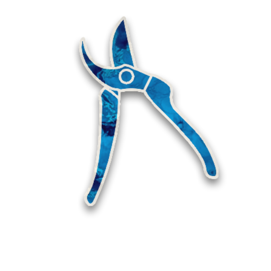 LotR: Ringbearer Almanac